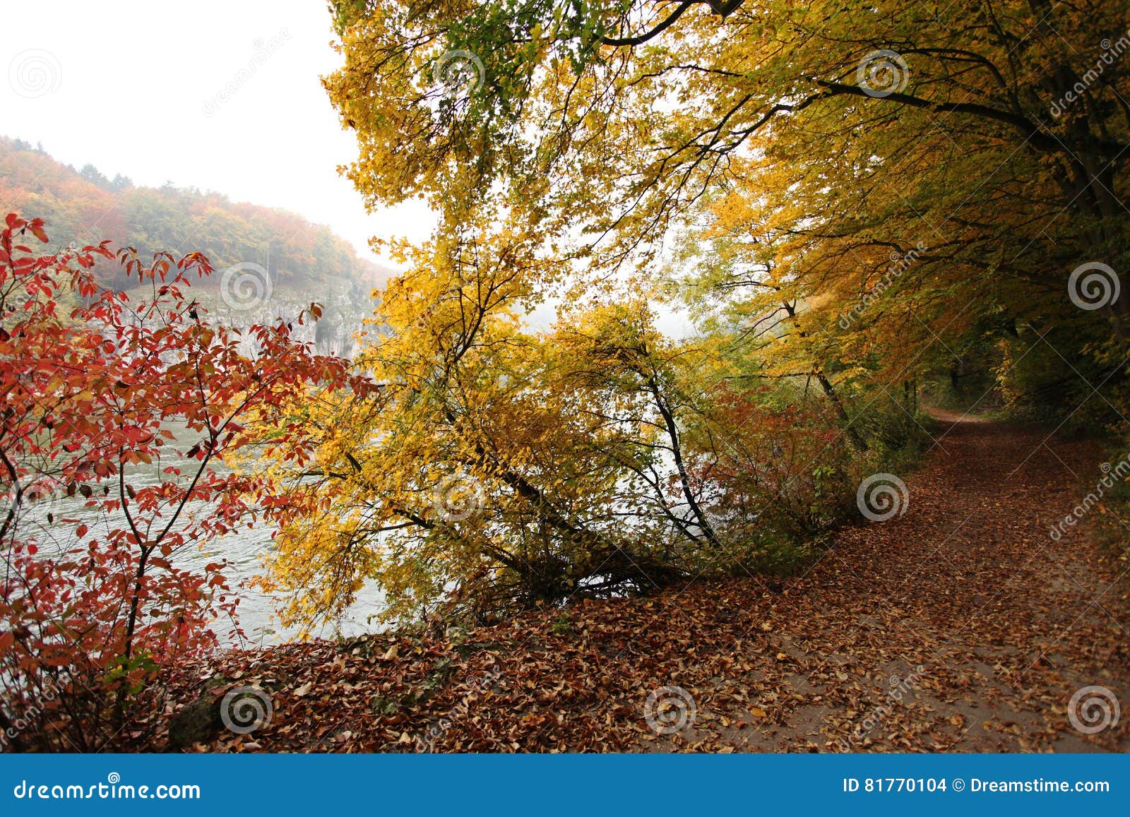 Beautiful Fall Forest Path at Danube River Bank Stock Photo - Image of ...