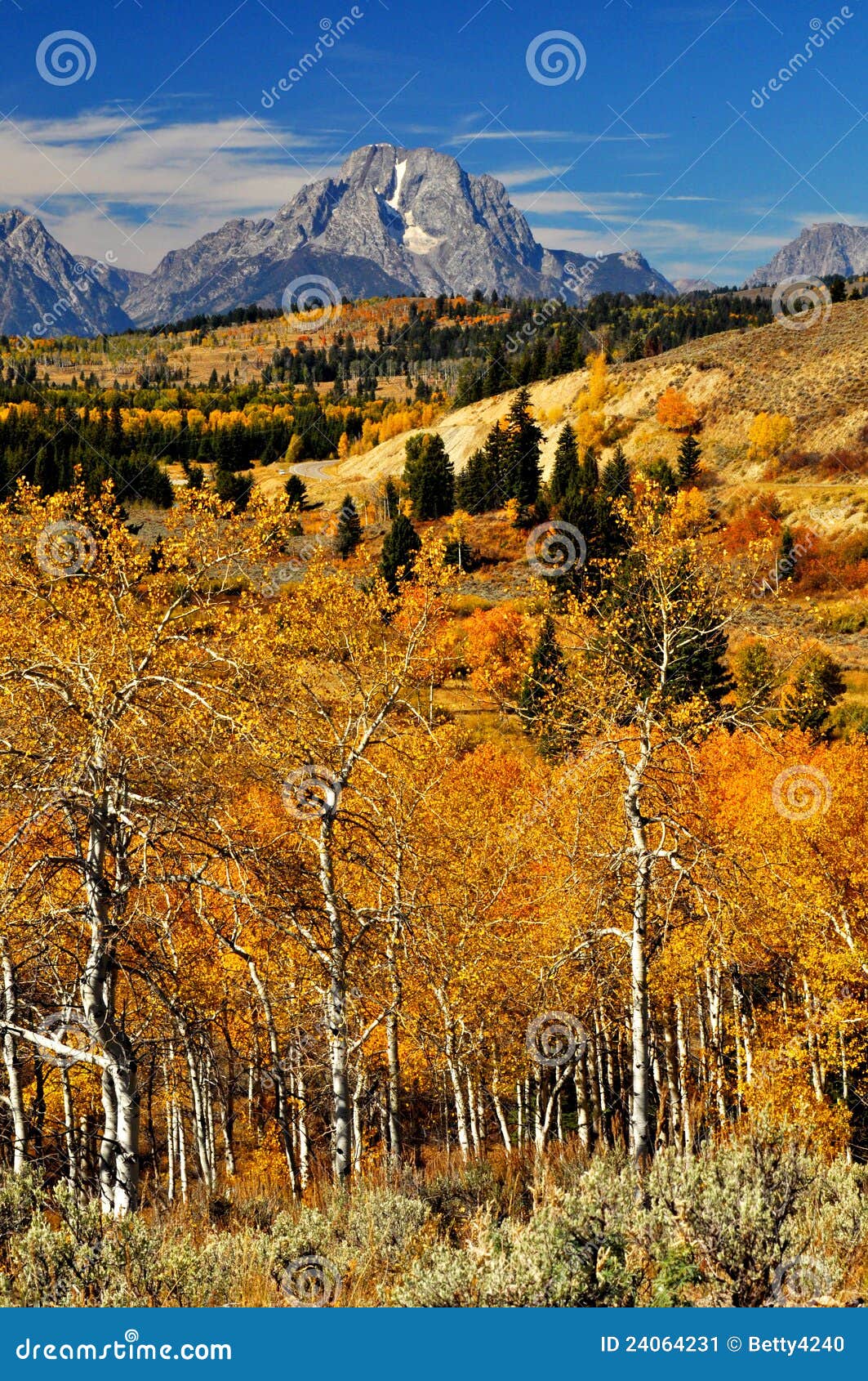 Beautiful Fall Landscape with Snow Capped Mountain Stock Image - Image ...
