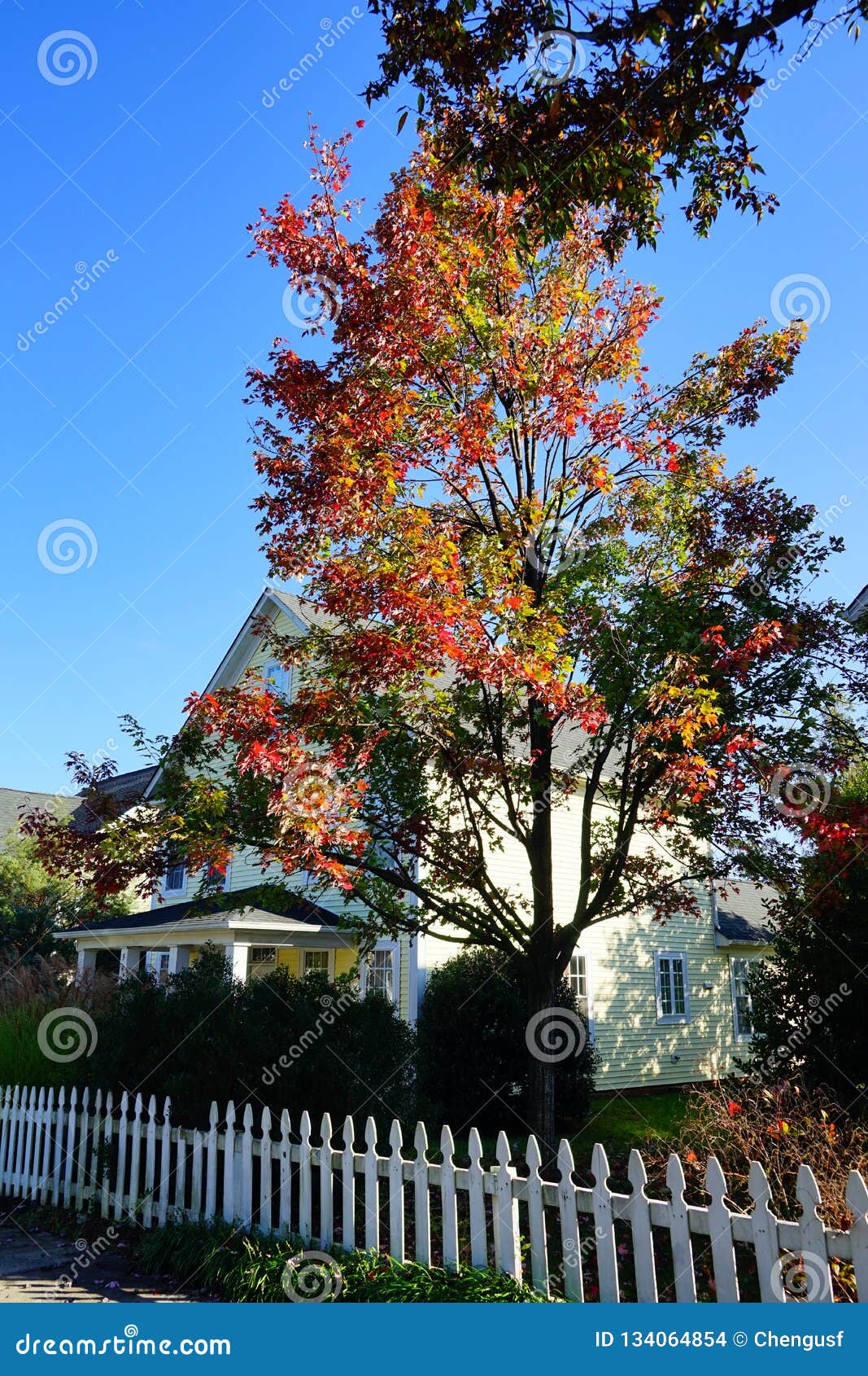 Fall of virginia stock photo. Image of hill, little - 134064854