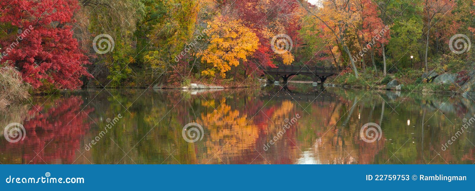 Beautiful Fall Panorama in Central Park. Stock Image - Image of autumn ...