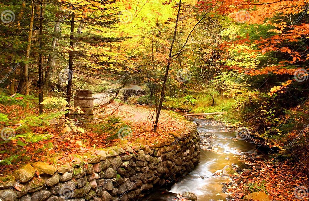 Beautiful Fall Scene stock photo. Image of river, outdoor - 3048780