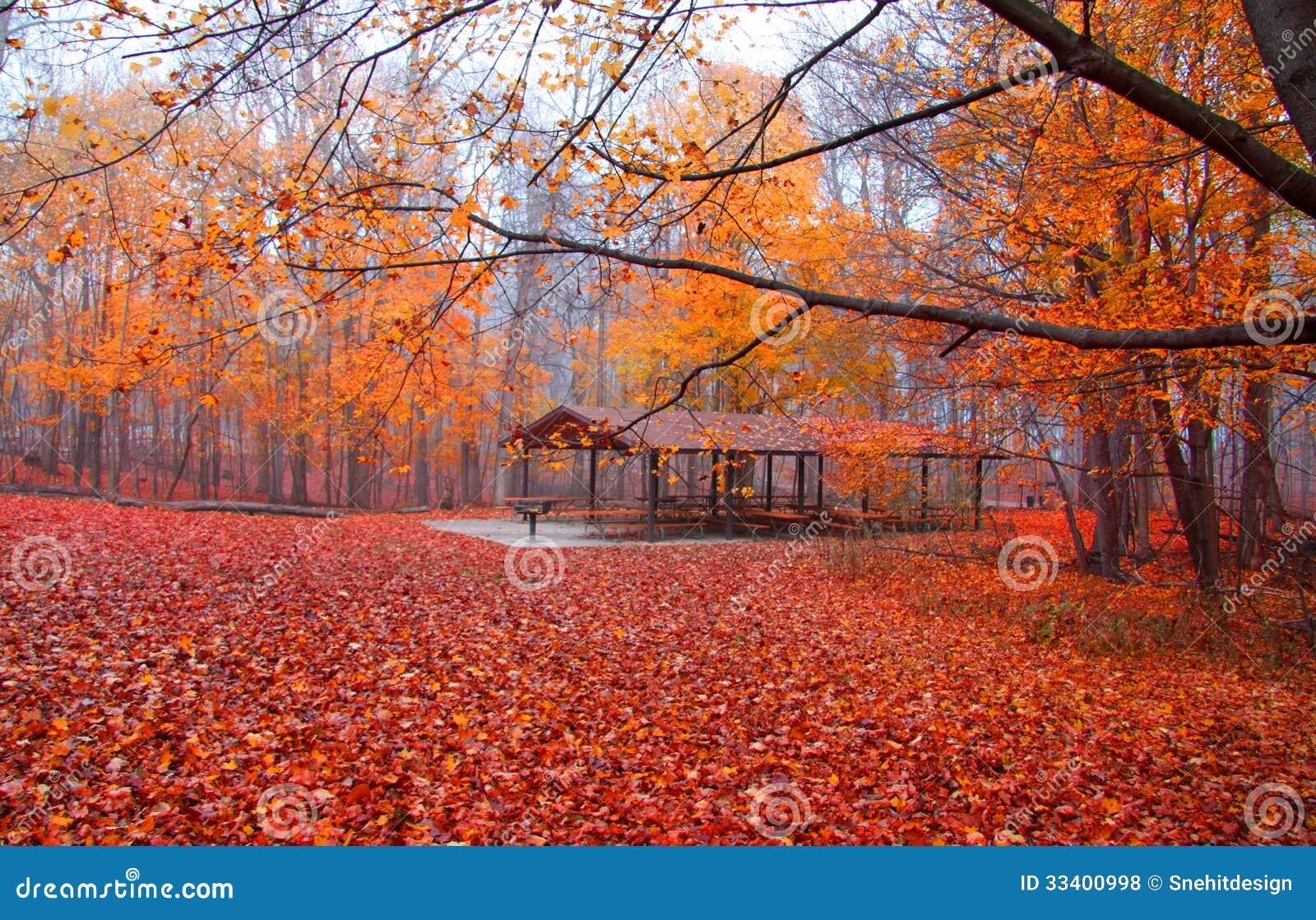 Beautiful fall scene stock photo. Image of orange, shelter - 33400998