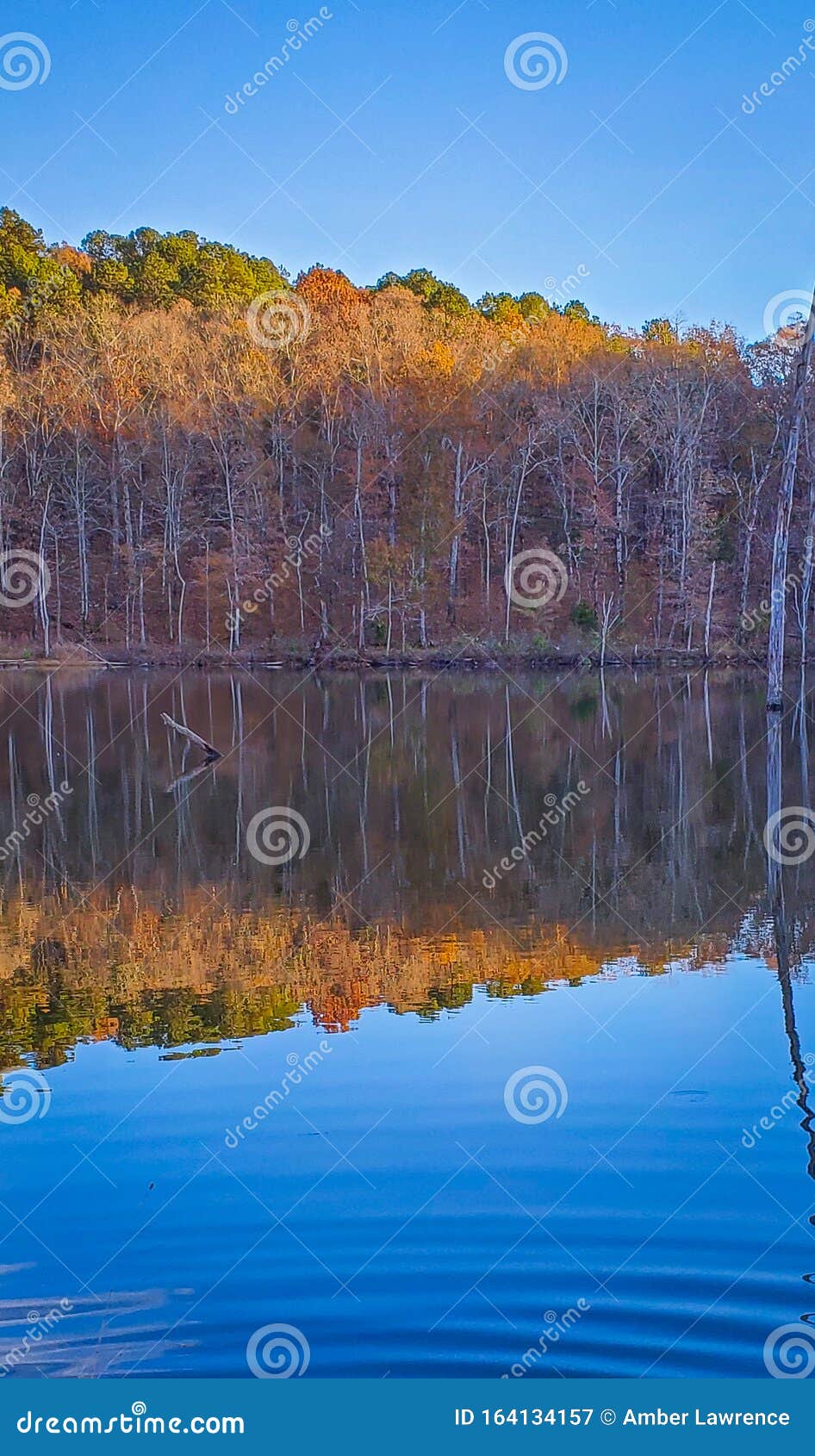 Beautiful Fall Scene with Reflective Colors Stock Image - Image of ...