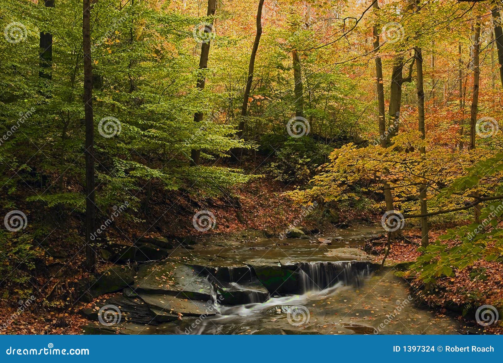 Beautiful Fall Scene with Steam and Fall Foliage Stock Photo - Image of ...