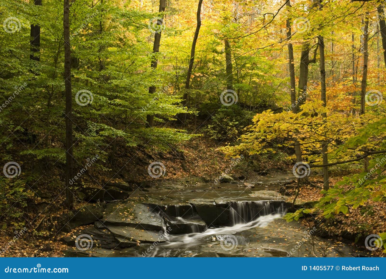Beautiful Fall Scene with Steam and Fall Foliage Stock Image - Image of ...