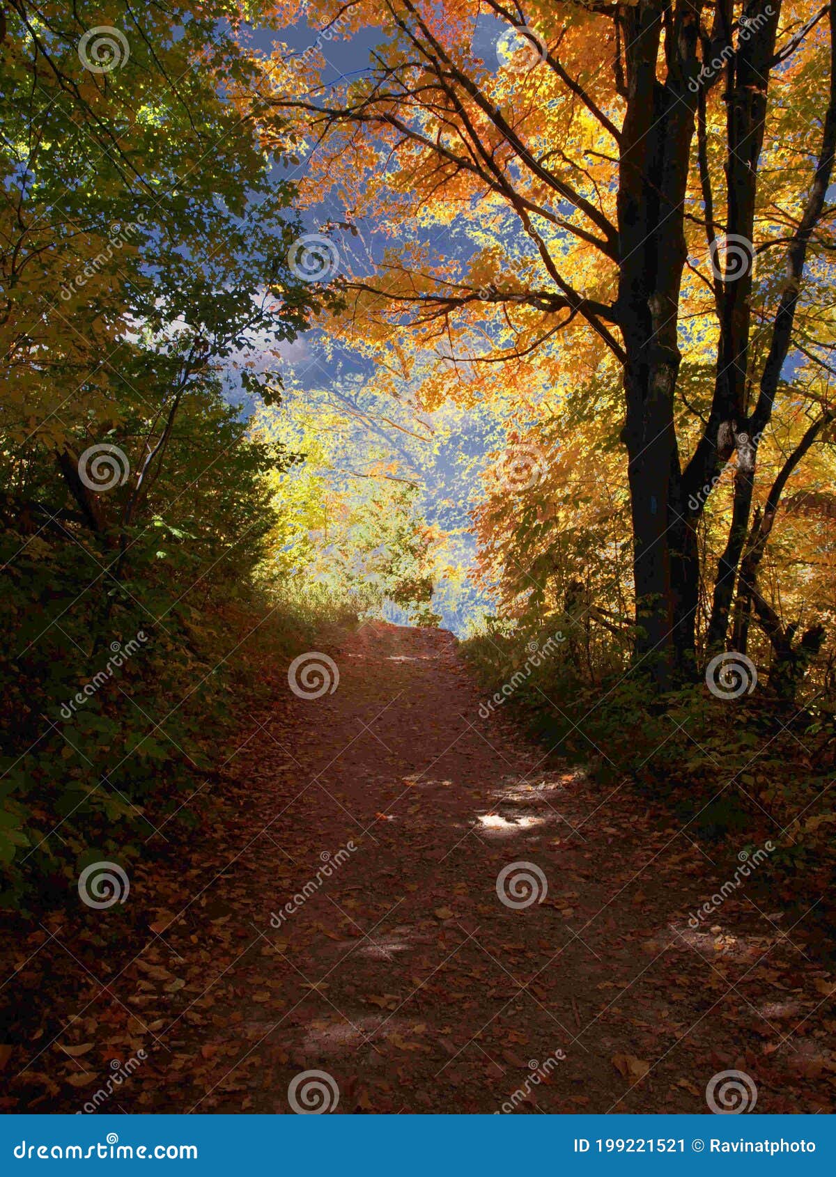 Beautiful Fall Scenery on a Bright Day in Ontario, Canada Stock Image ...