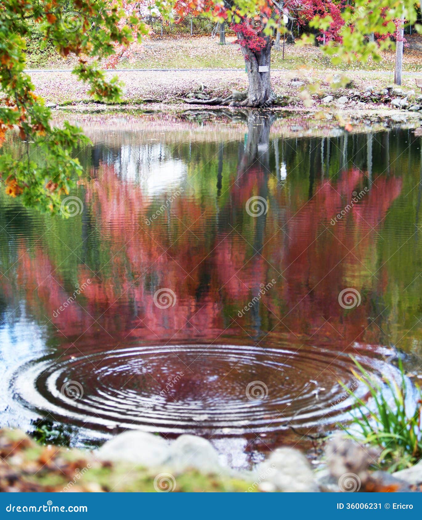 Beautiful fall scenery stock image. Image of fall, scenery - 36006231