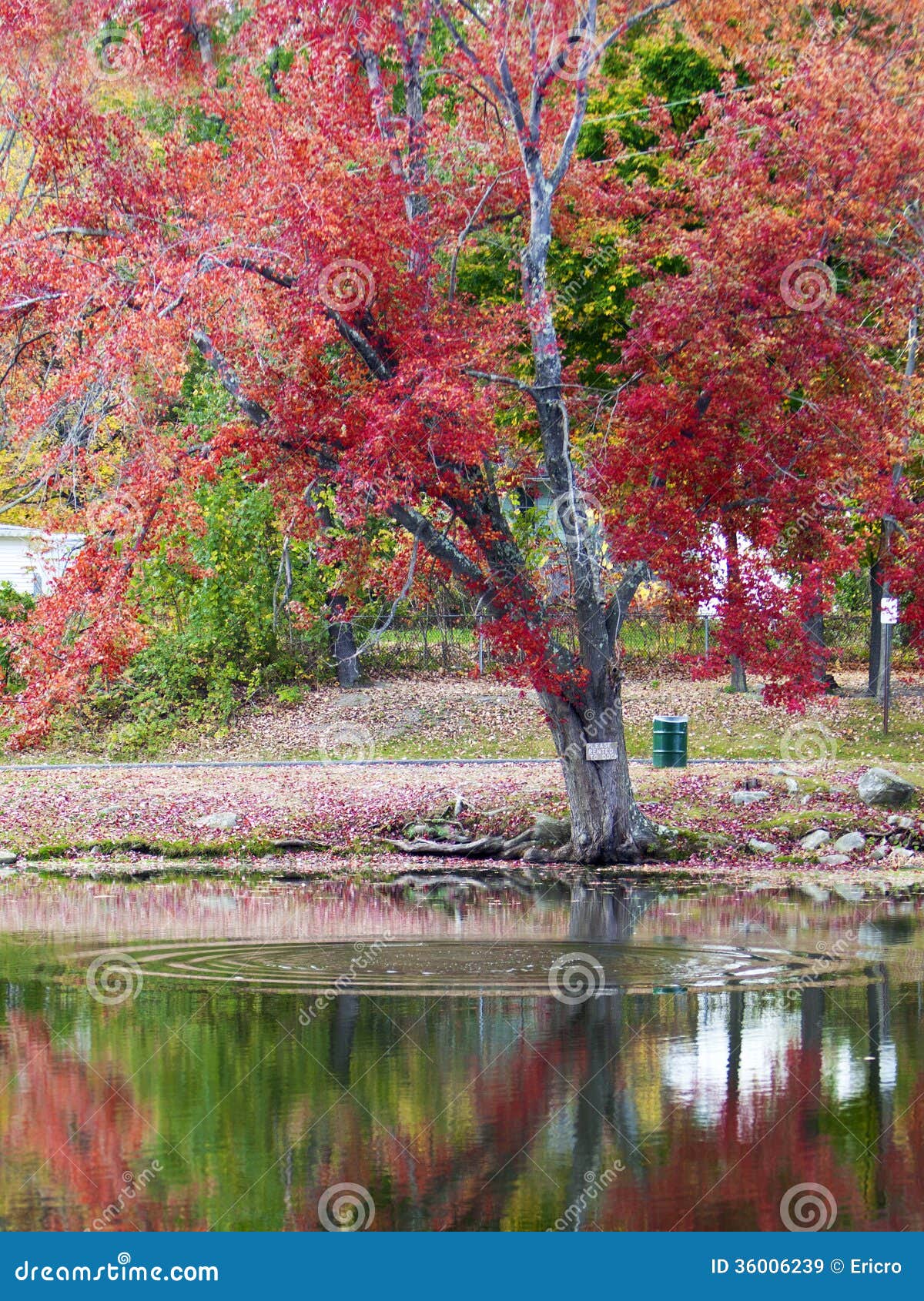 Beautiful fall scenery stock image. Image of peaceful - 36006239