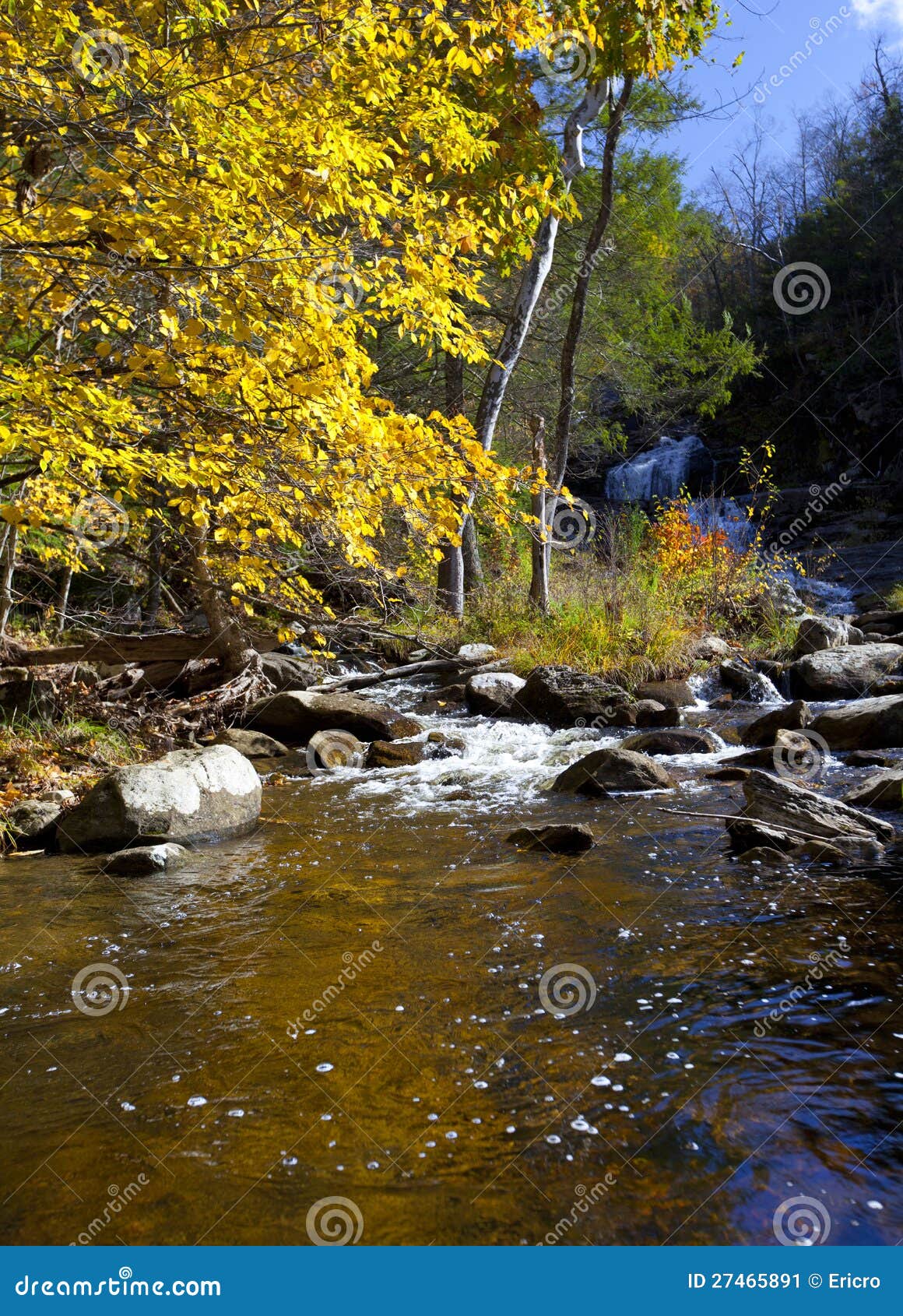 Beautiful Fall stream stock image. Image of leaf, nature - 27465891