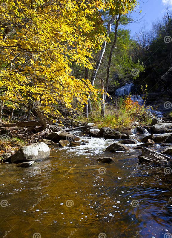 Beautiful Fall stream stock image. Image of leaf, nature - 27465891