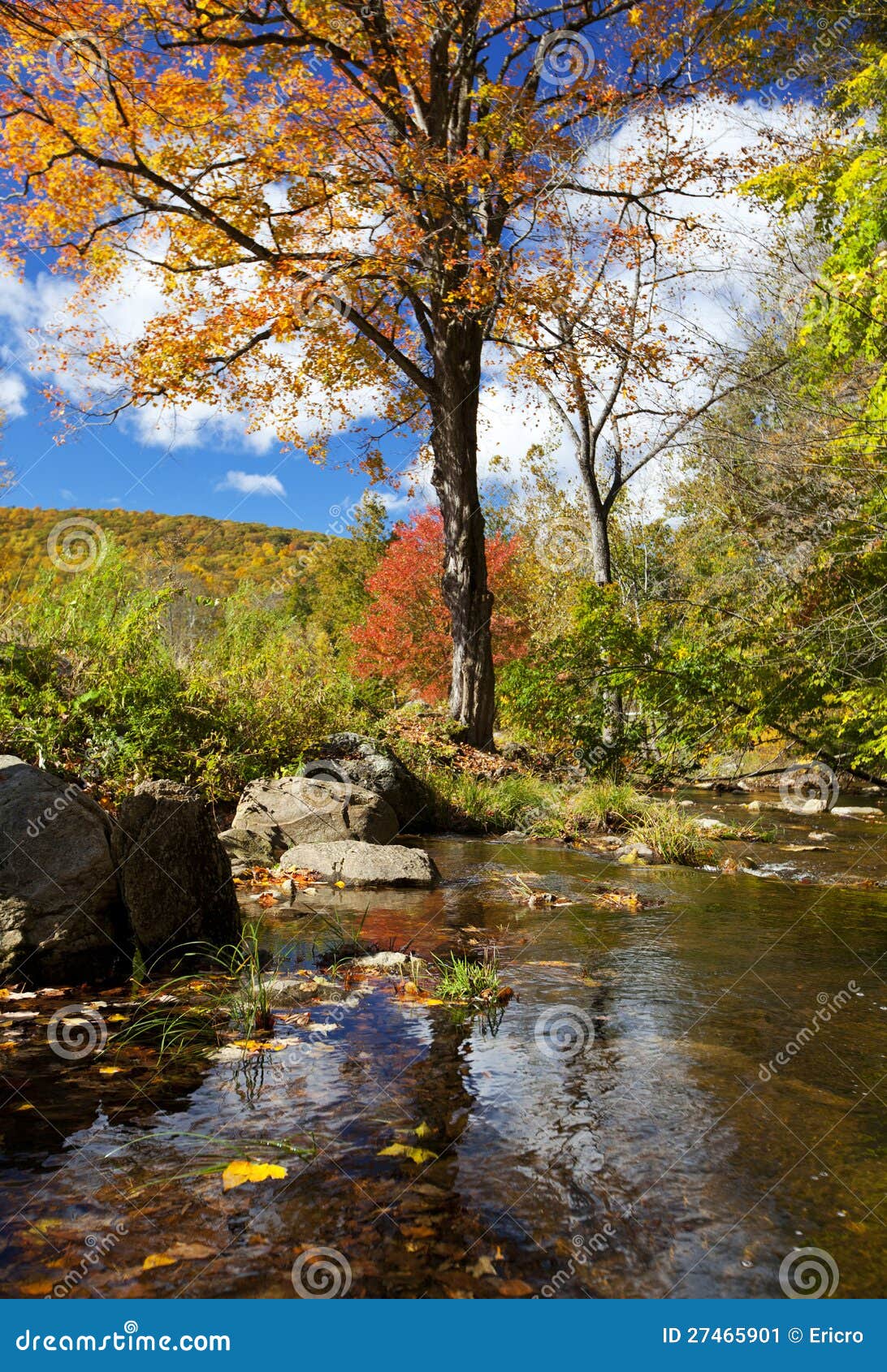 Beautiful Fall stream stock image. Image of running, landscape - 27465901