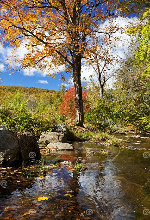 Beautiful Fall stream stock image. Image of running, landscape - 27465901