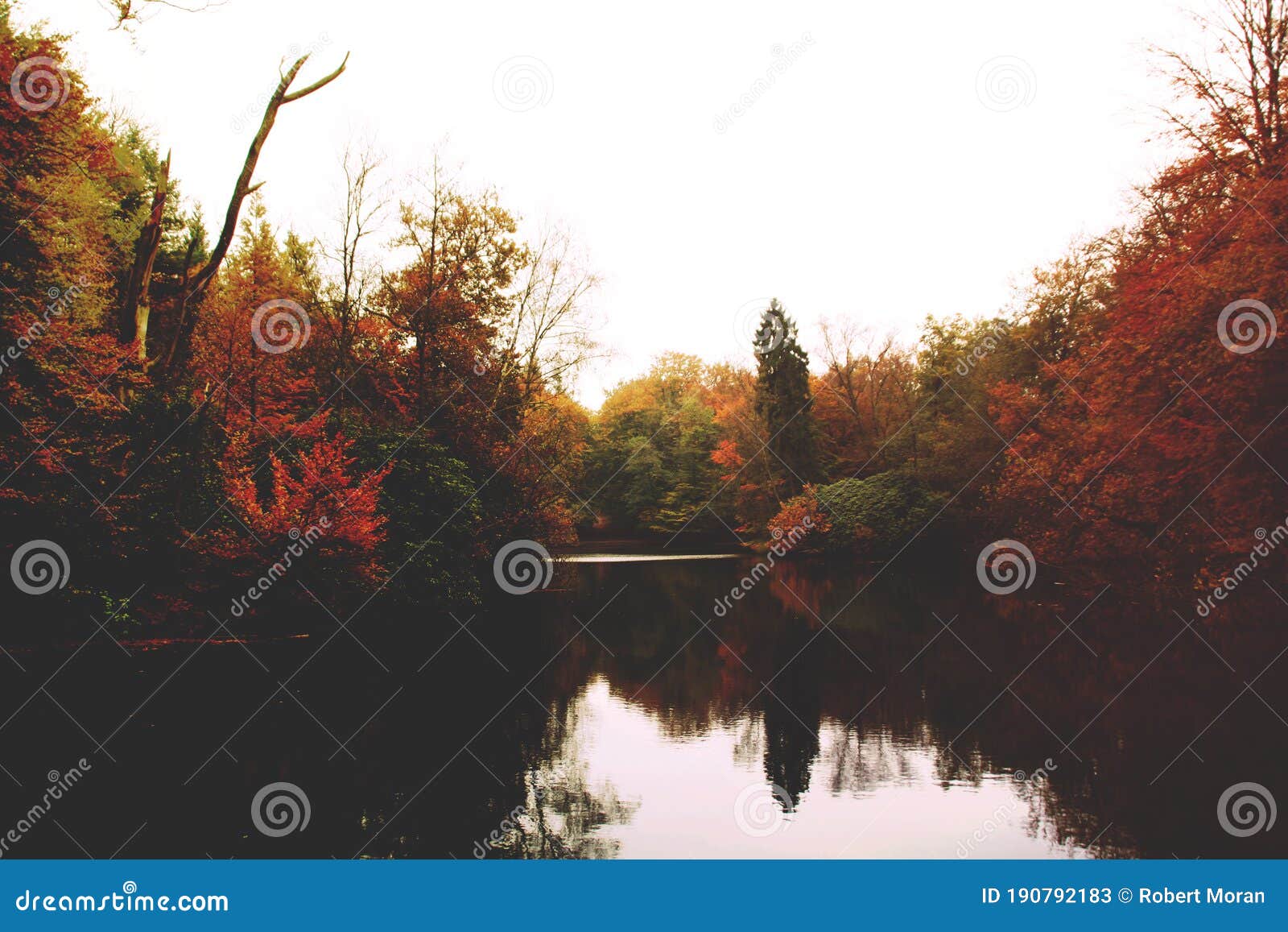 Beautiful Fall Tree Colors Reflecting Off of Stillwater Stock Image ...
