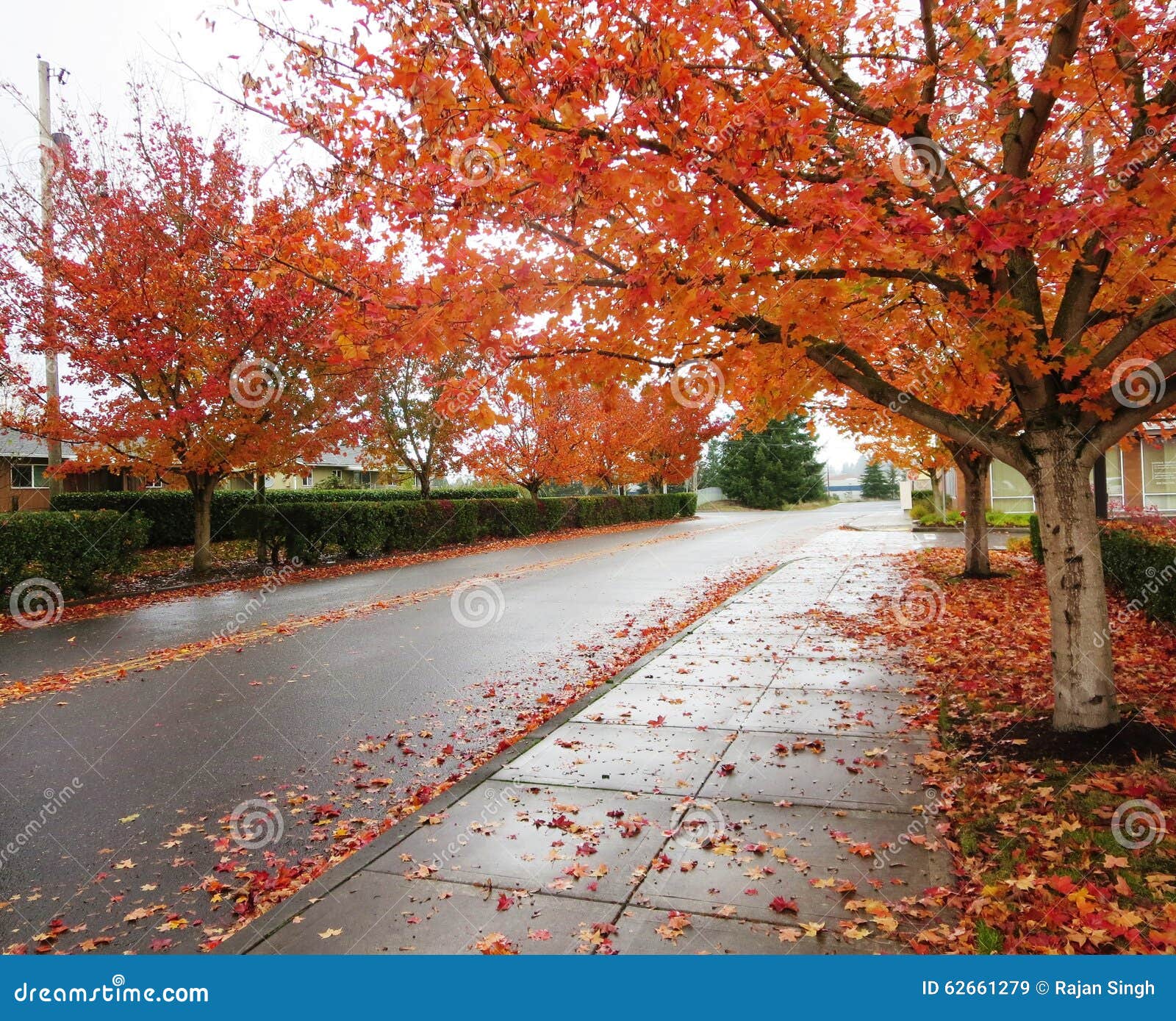 Beautiful fall view stock image. Image of beautiful, color - 62661279