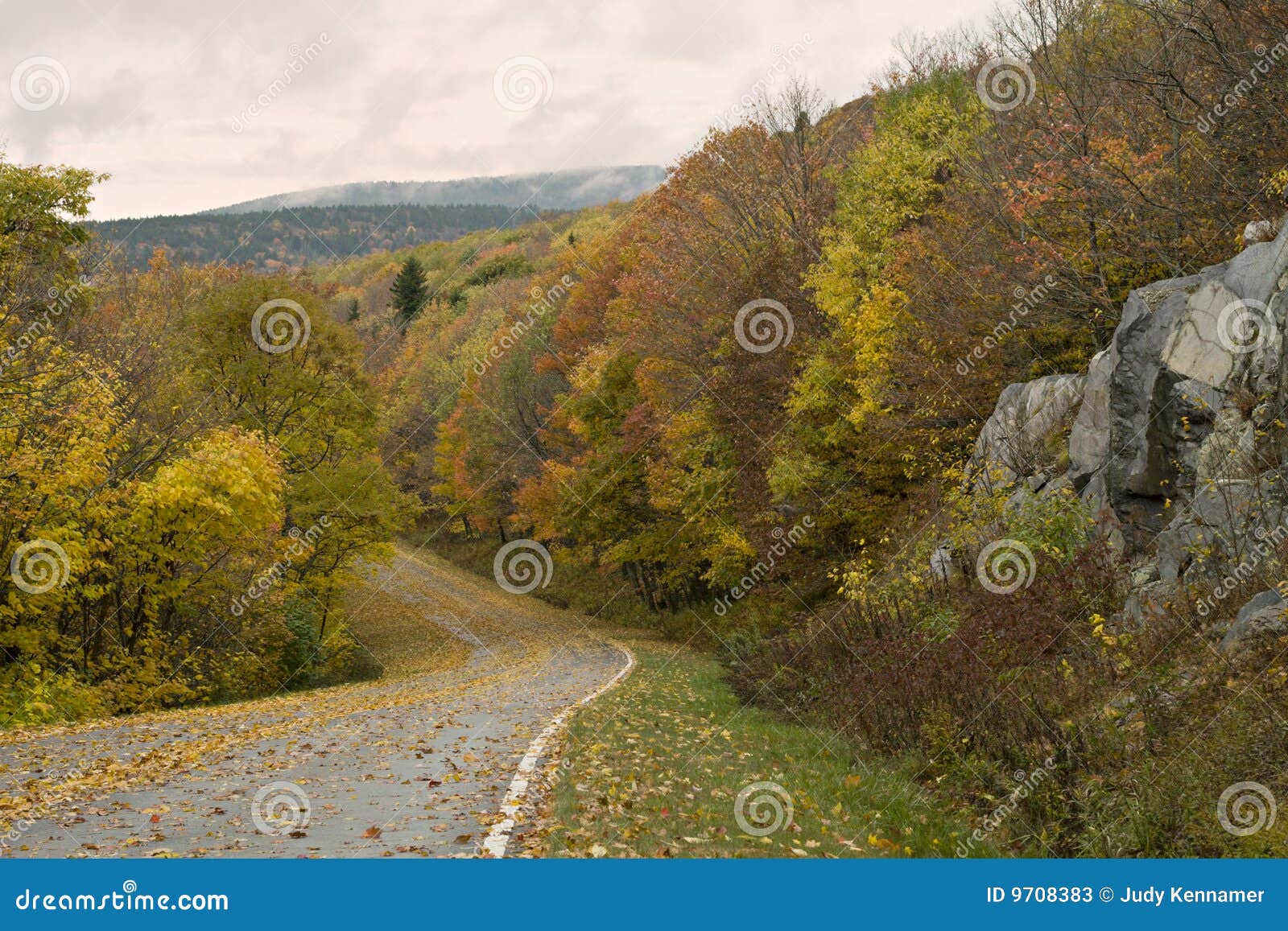 Beautiful Fall Virginia Road Stock Image - Image of plants, autumn: 9708383