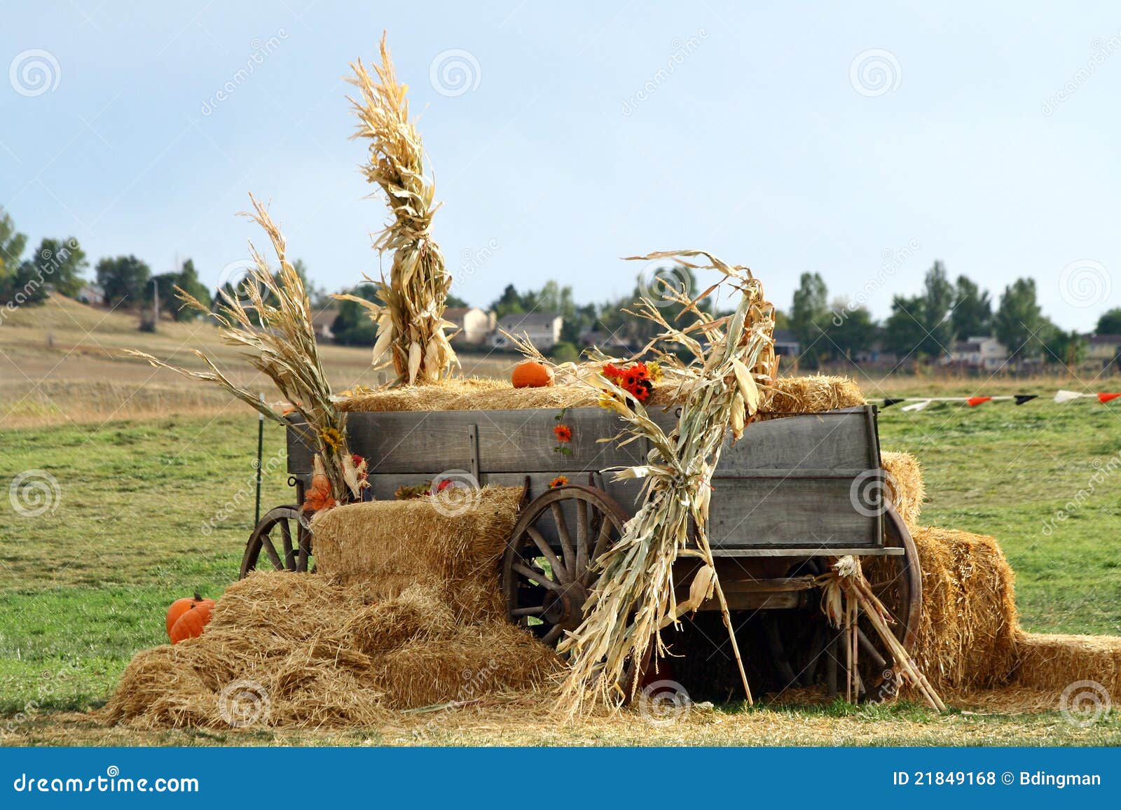 Beautiful Fall Wagon stock photo. Image of nature, united - 21849168