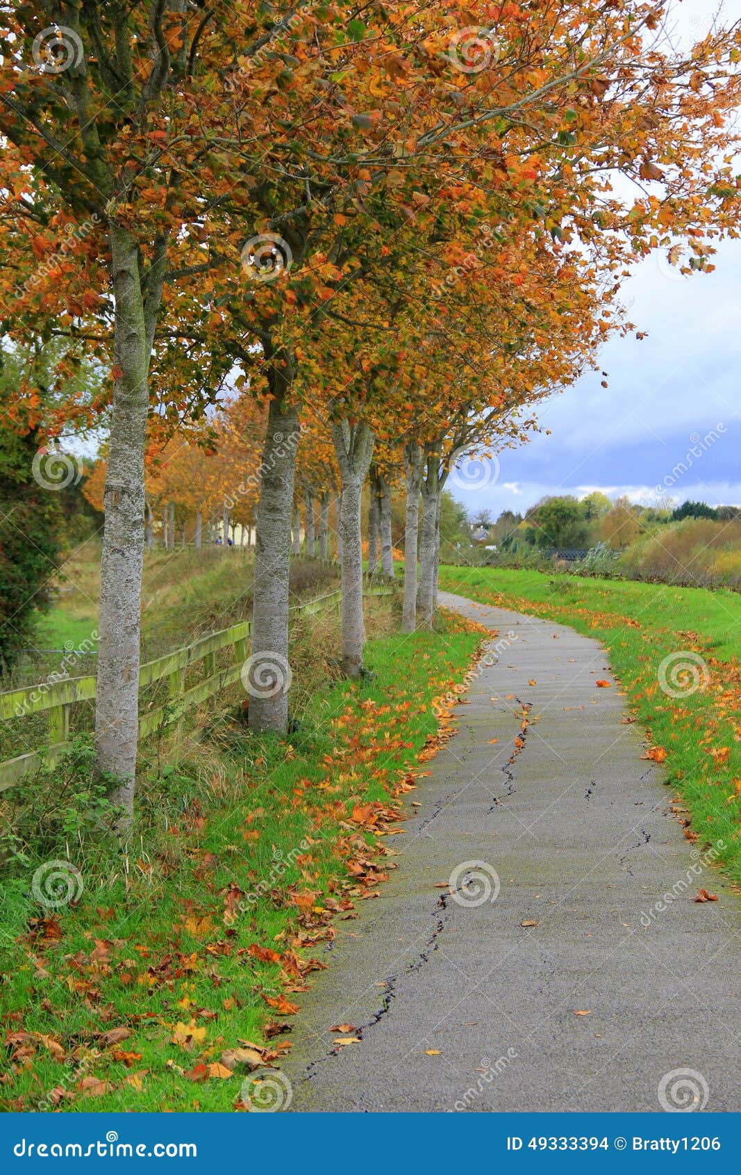 Beautiful Fall Walk in Peaceful Setting Stock Photo - Image of outdoor ...