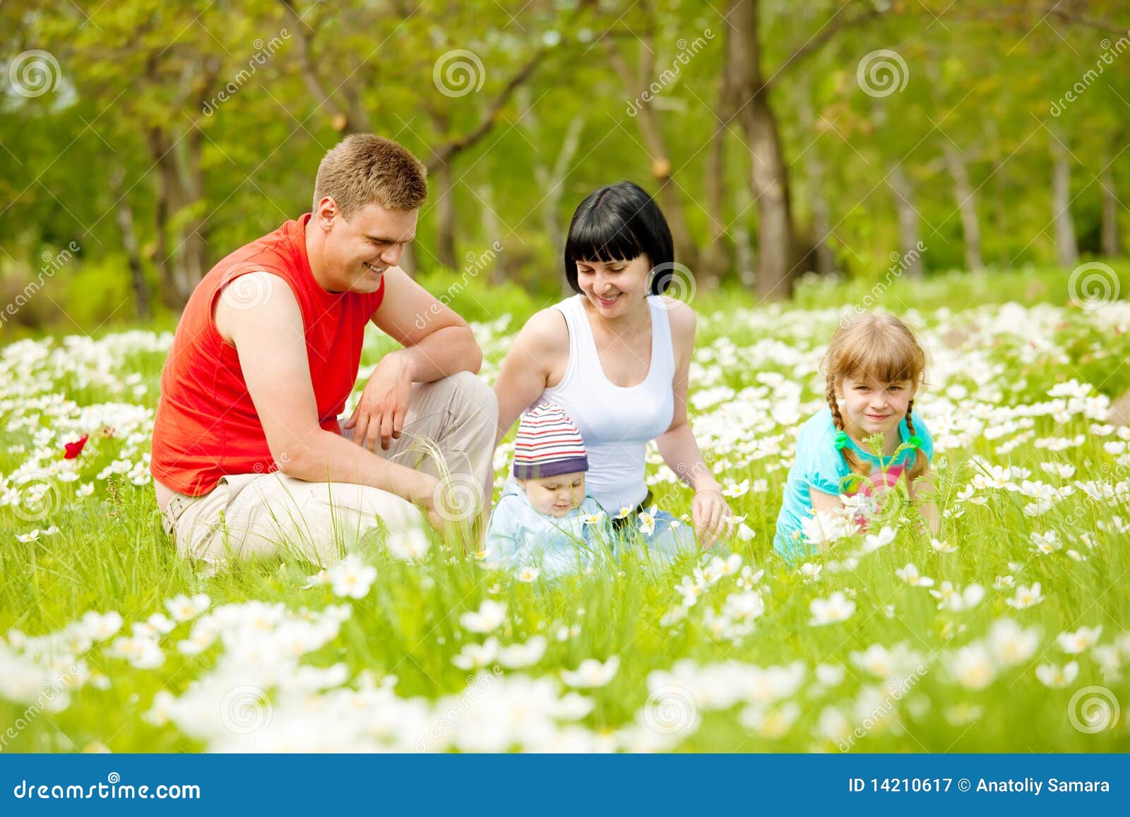 Beautiful family stock image. Image of caucasian, happy - 14210617