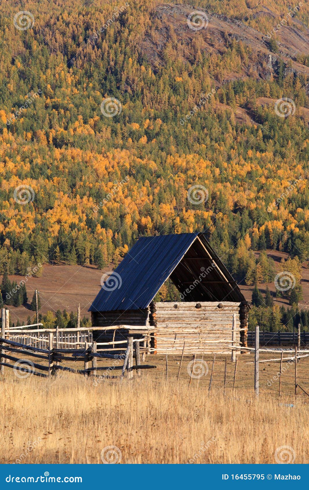 Beautiful farm stock image. Image of beautiful, village - 16455795