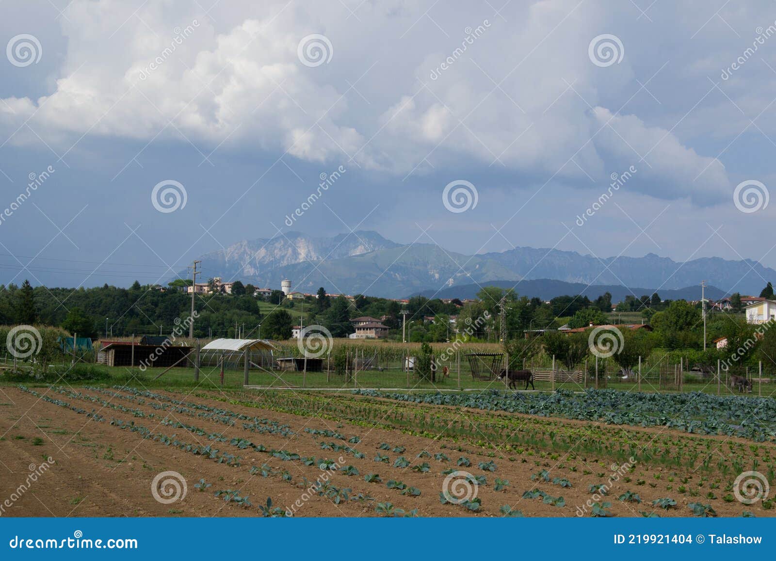 Beautiful Farmer Italian Valley on a Summer Day Stock Photo - Image of ...