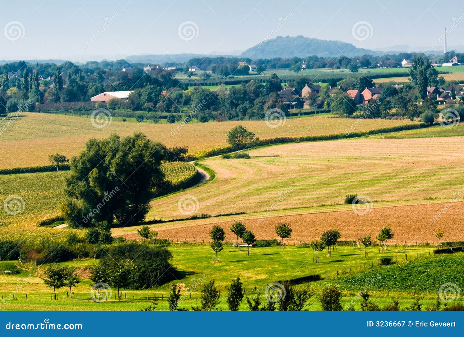 Beautiful Farmland Landscape Stock Image - Image of rural, nature: 3236667