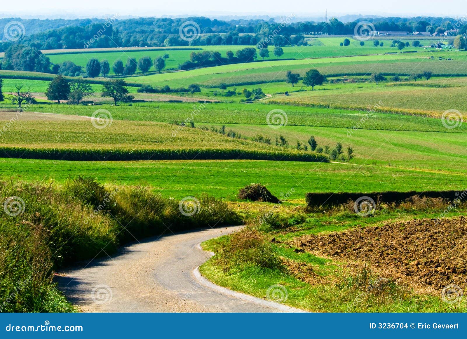 Beautiful Farmland Landscape Stock Photo - Image of forest ...