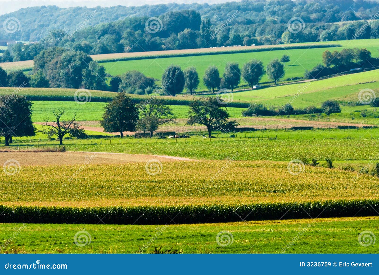 Beautiful Farmland Landscape Stock Image - Image of pastoral, blue: 3236759