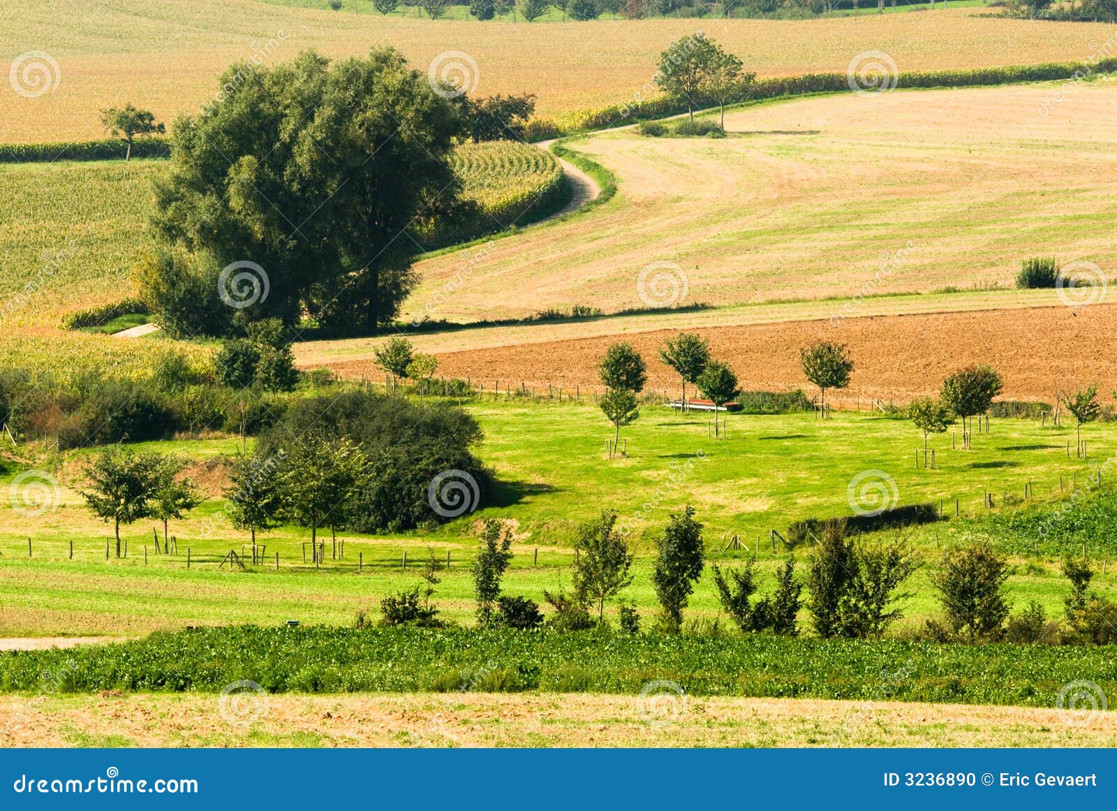 Beautiful Farmland Landscape Stock Photo - Image of landscape ...