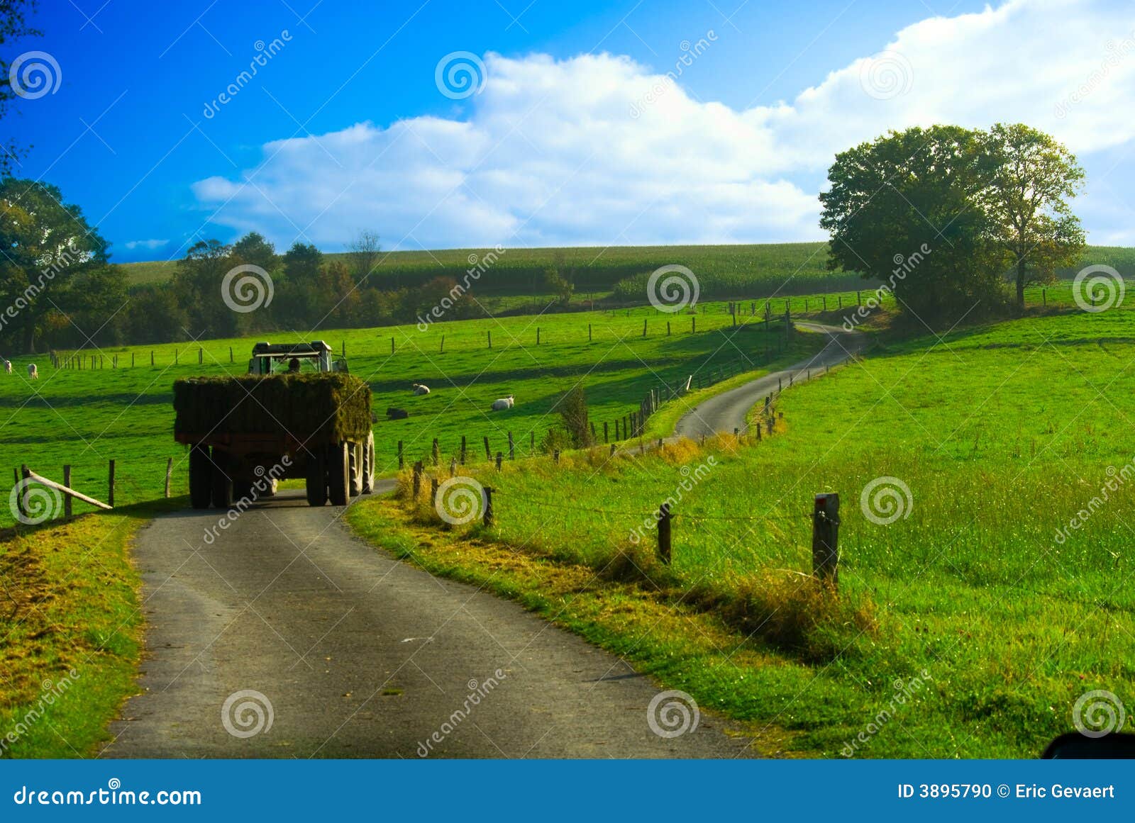 Beautiful Farmland Landscape Stock Photo - Image of pasture, scenics ...