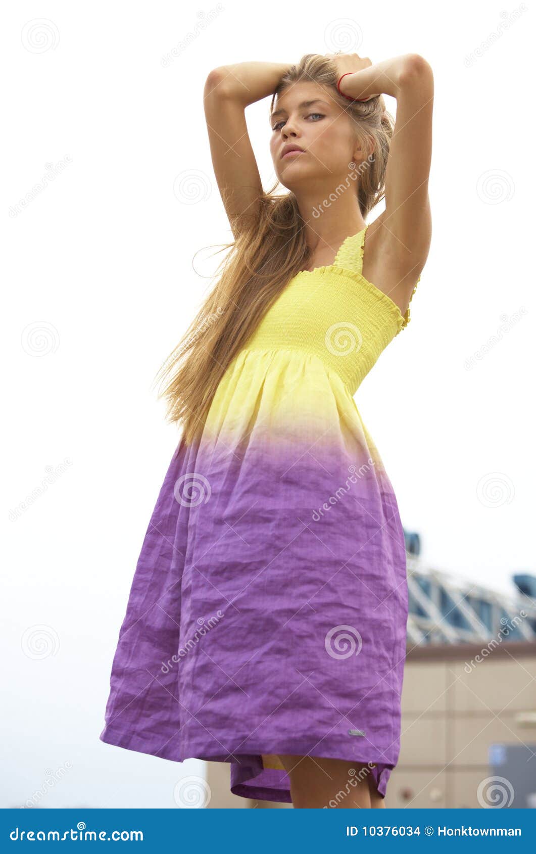 A beautiful fashion model stock photo. Image of female - 10376034