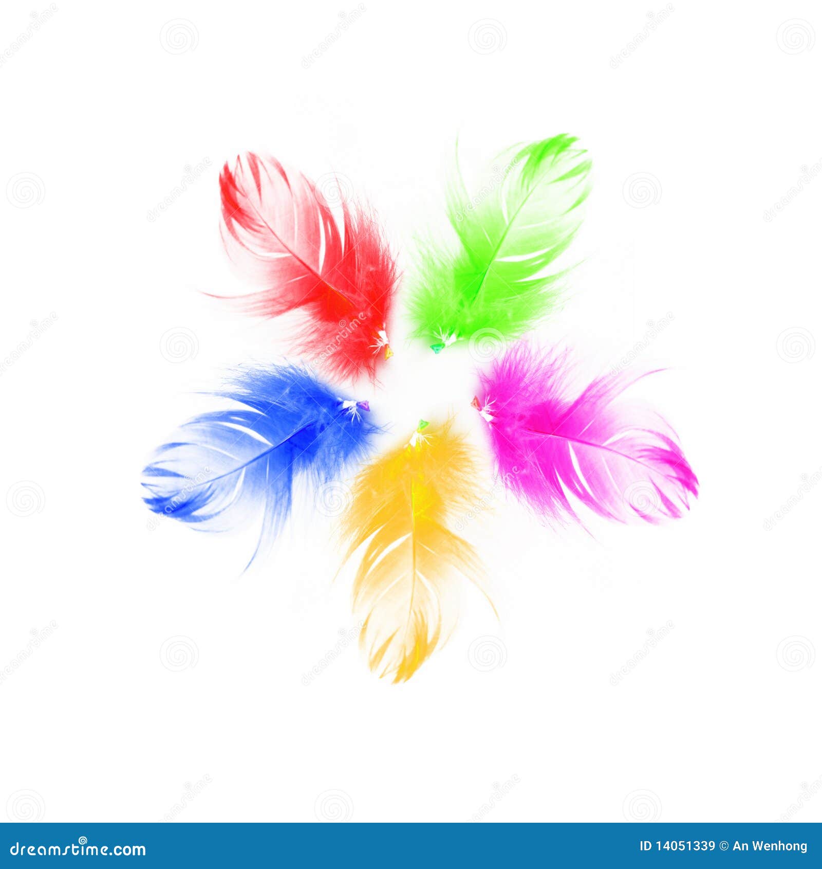 Beautiful feathers stock image. Image of beautiful, white - 14051339