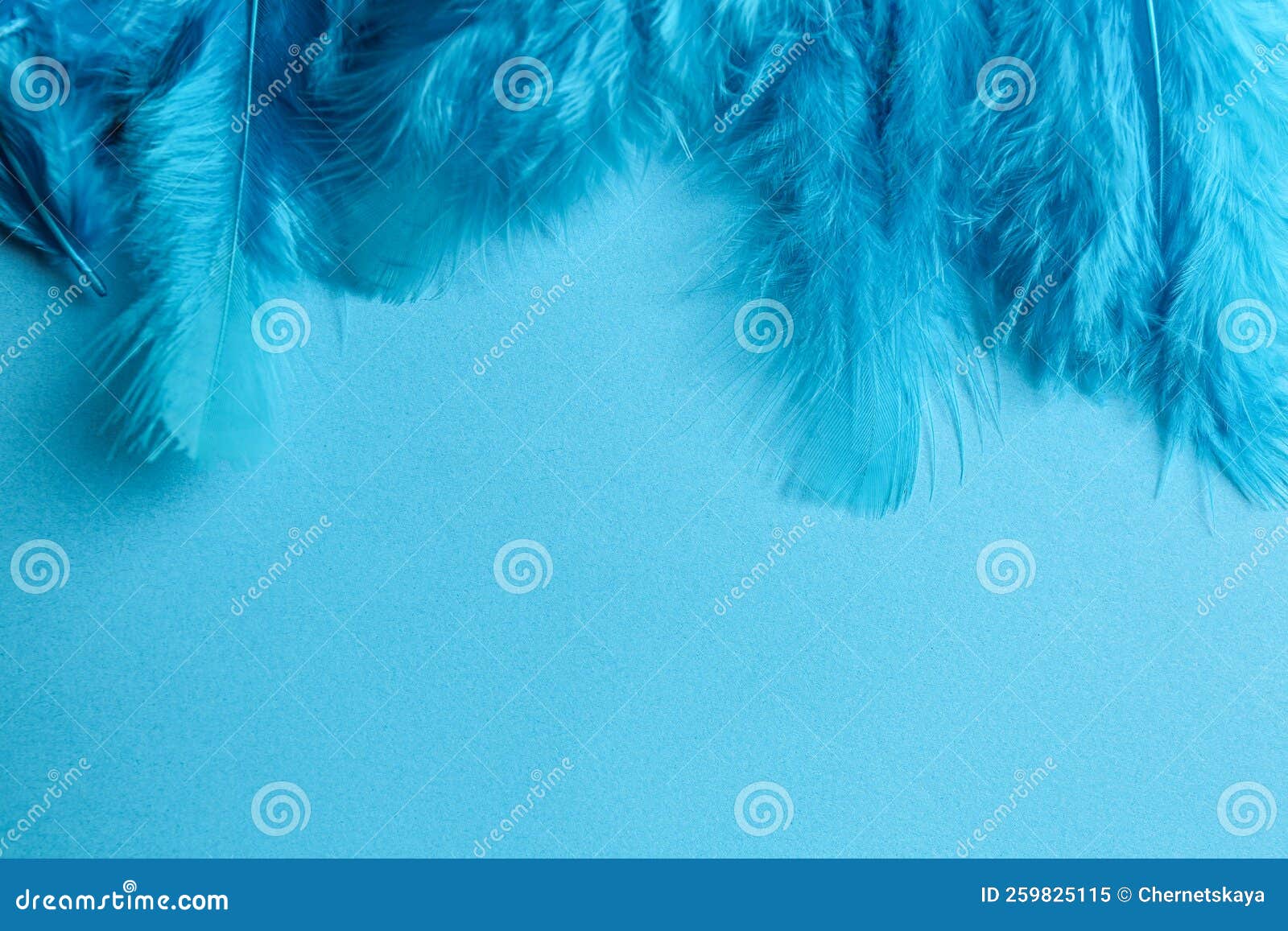 Beautiful Feathers on Light Blue Background, Flat Lay. Space for Text ...