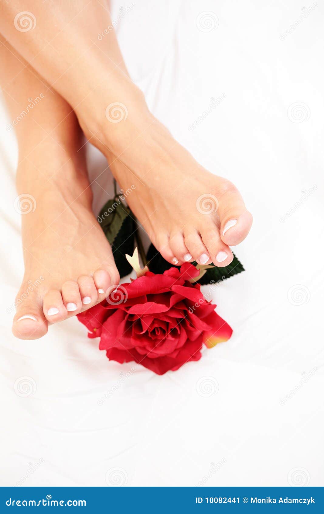 Beautiful feet stock image. Image of elegance, rose, attractive - 10082441
