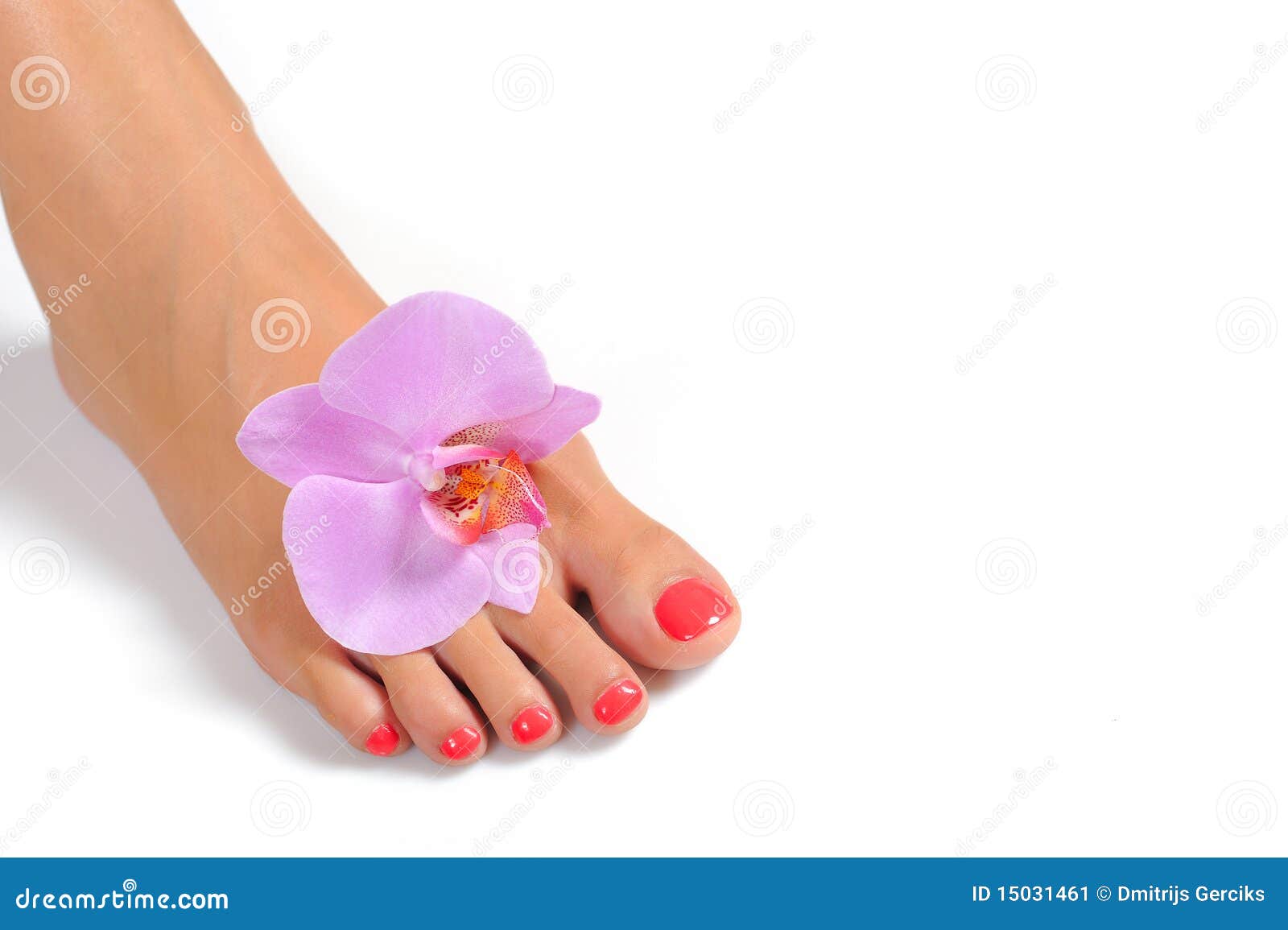 Beautiful Feet with Perfect Spa Pedicure Stock Image - Image of flower ...