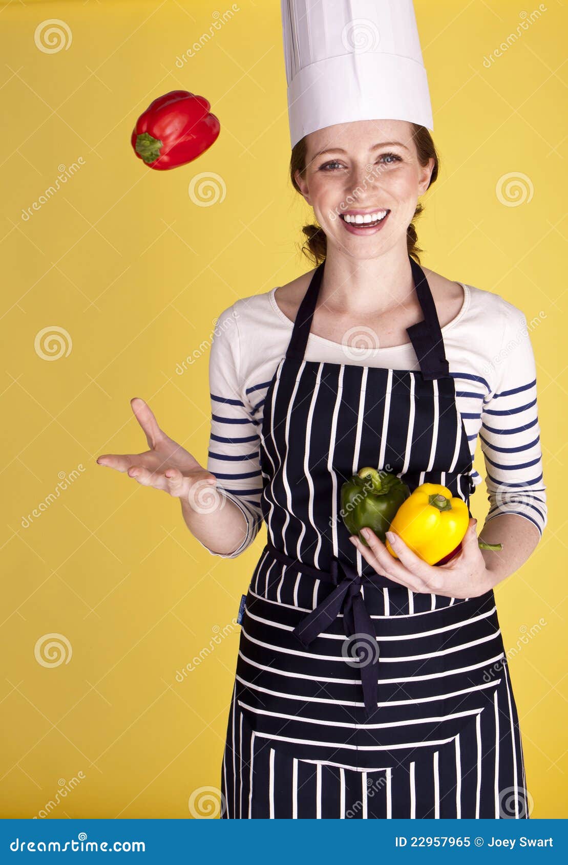 Beautiful female chef. stock image. Image of model, portrait - 22957965