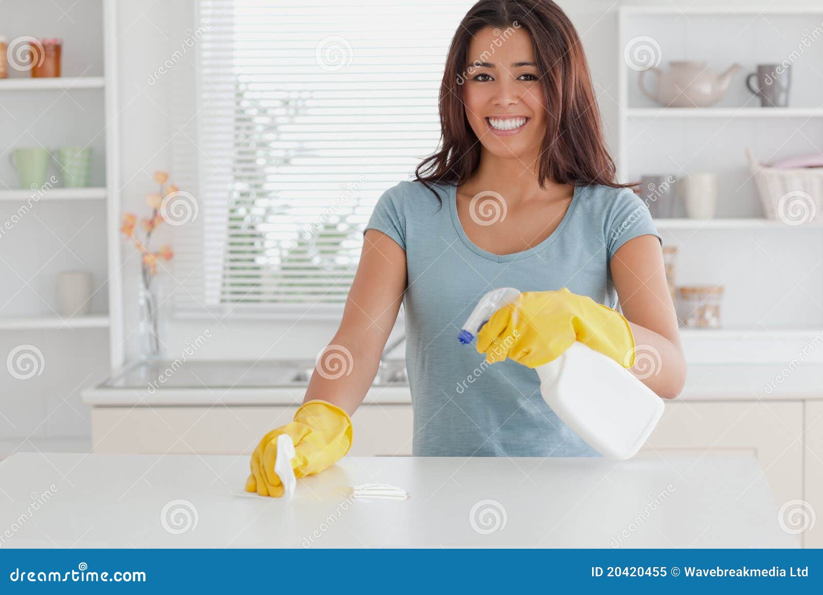 Beautiful Female Doing the Housework Stock Image - Image of mixed ...