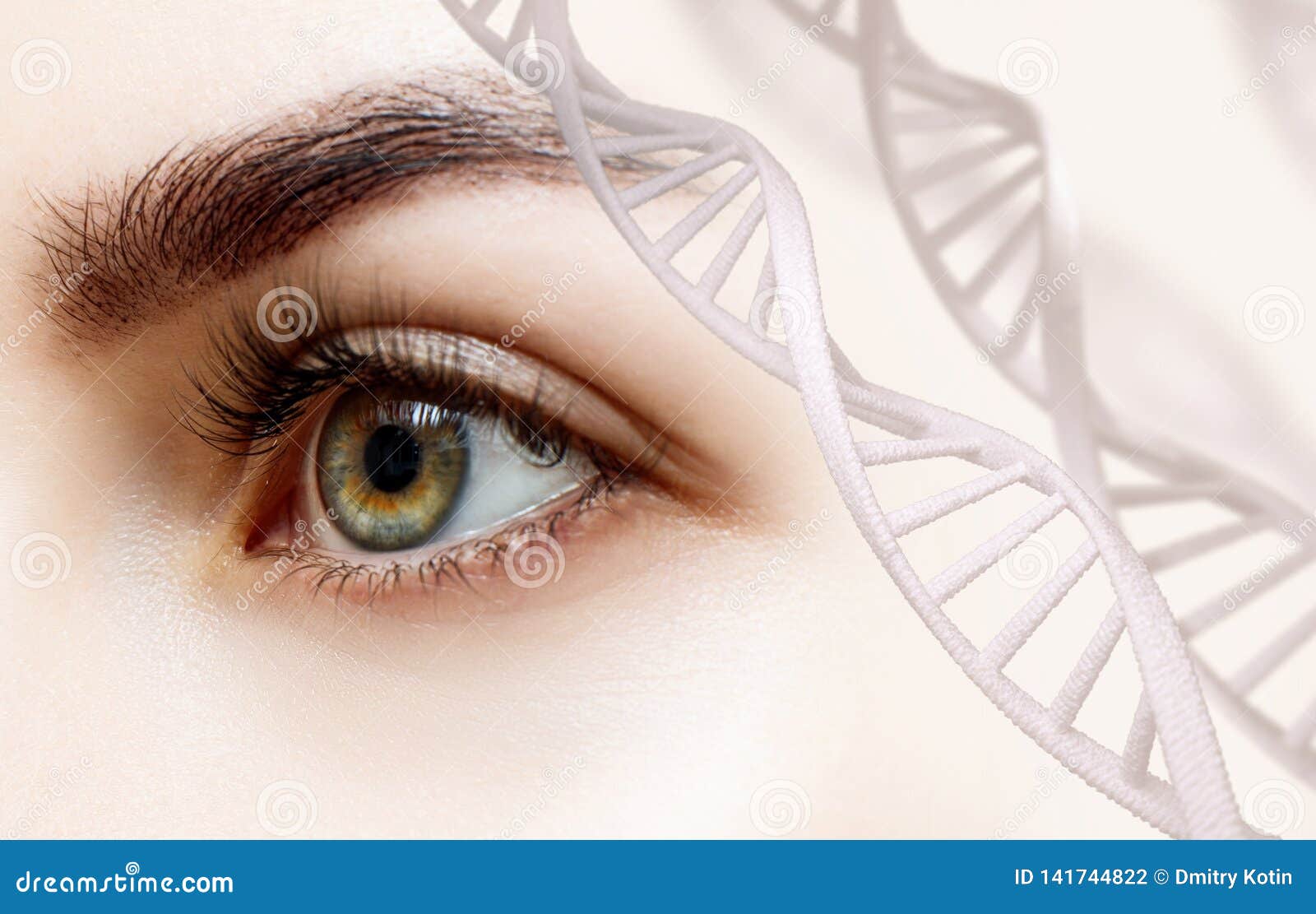 Beautiful Female Eye Looking from DNA Chains. Stock Photo - Image of ...
