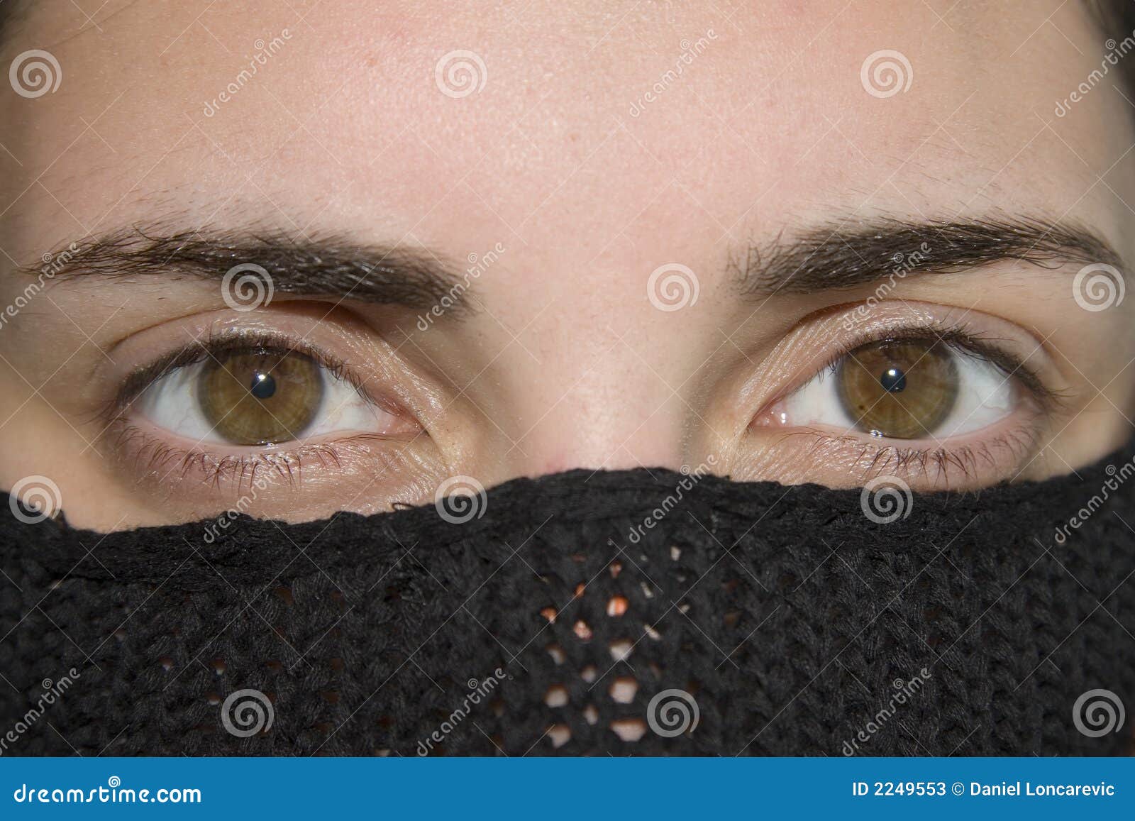 Beautiful female eyes stock image. Image of brown, pupil - 2249553