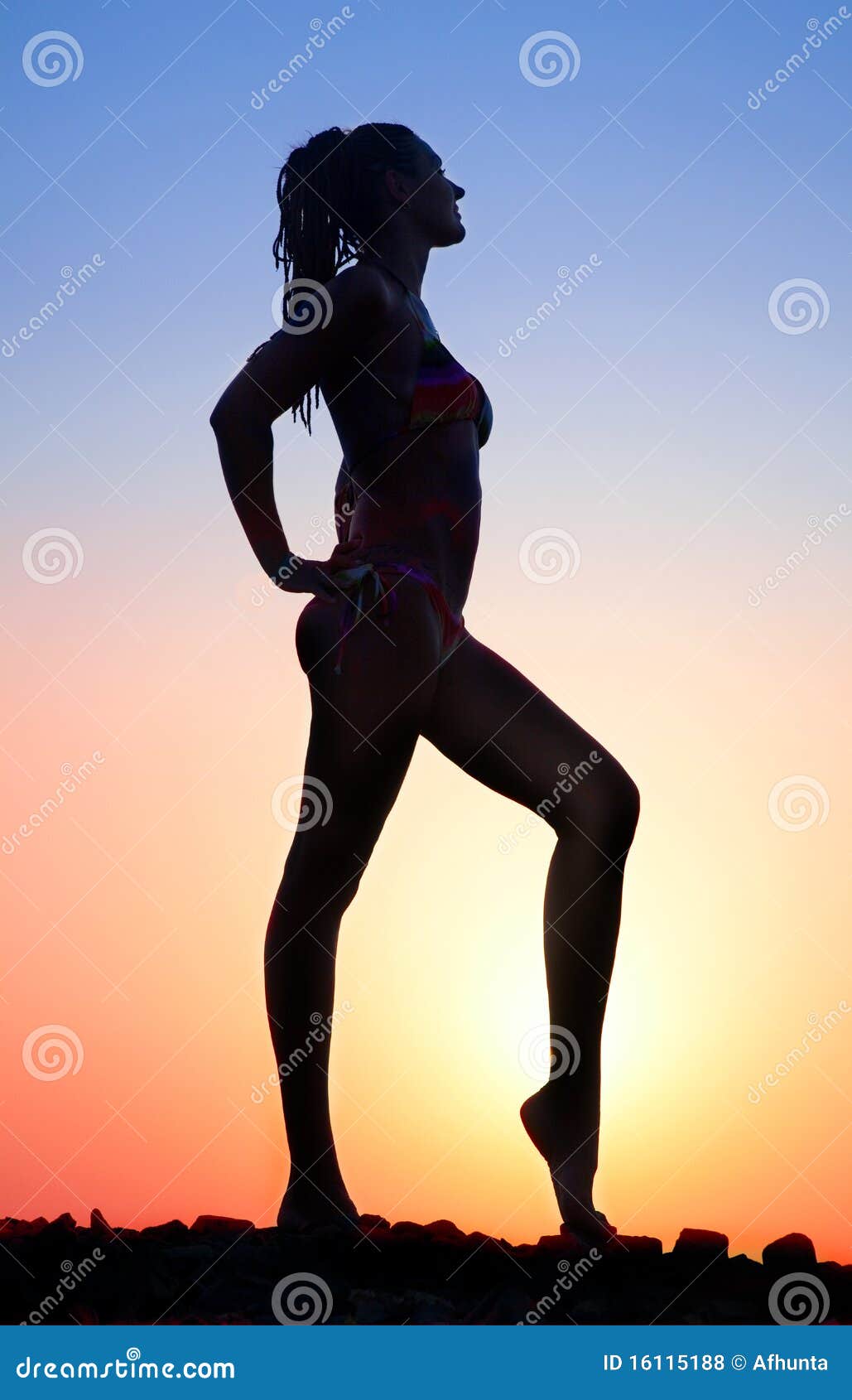 Beautiful female figure stock photo. Image of beauty - 16115188