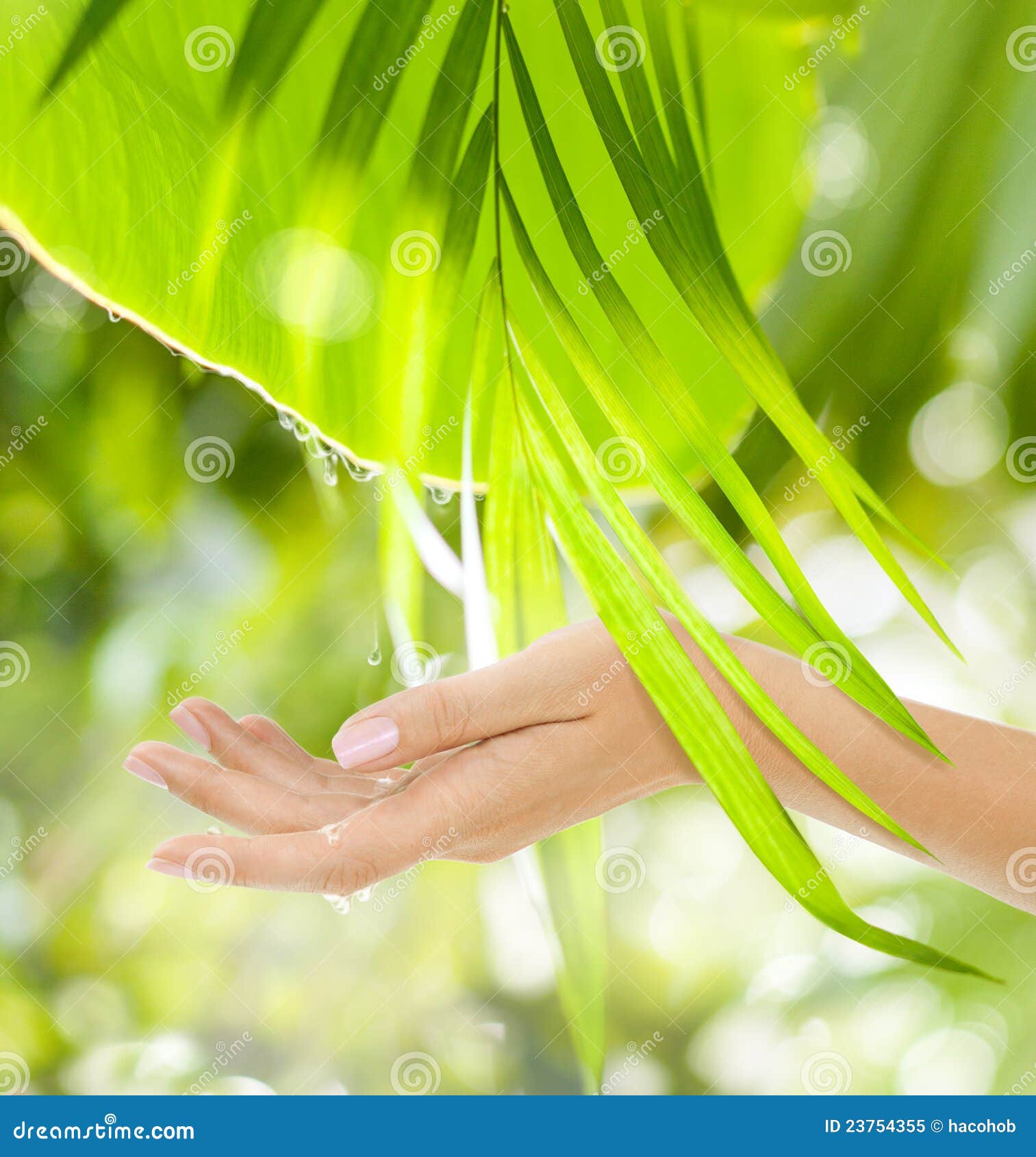 Beautiful Female Hand On The Green Background Stock Image - Image of ...