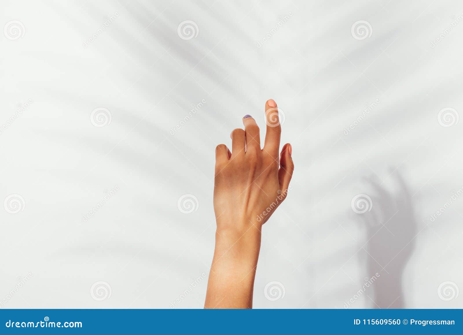 Beautiful Female Hand on a White Background Stock Photo - Image of ...