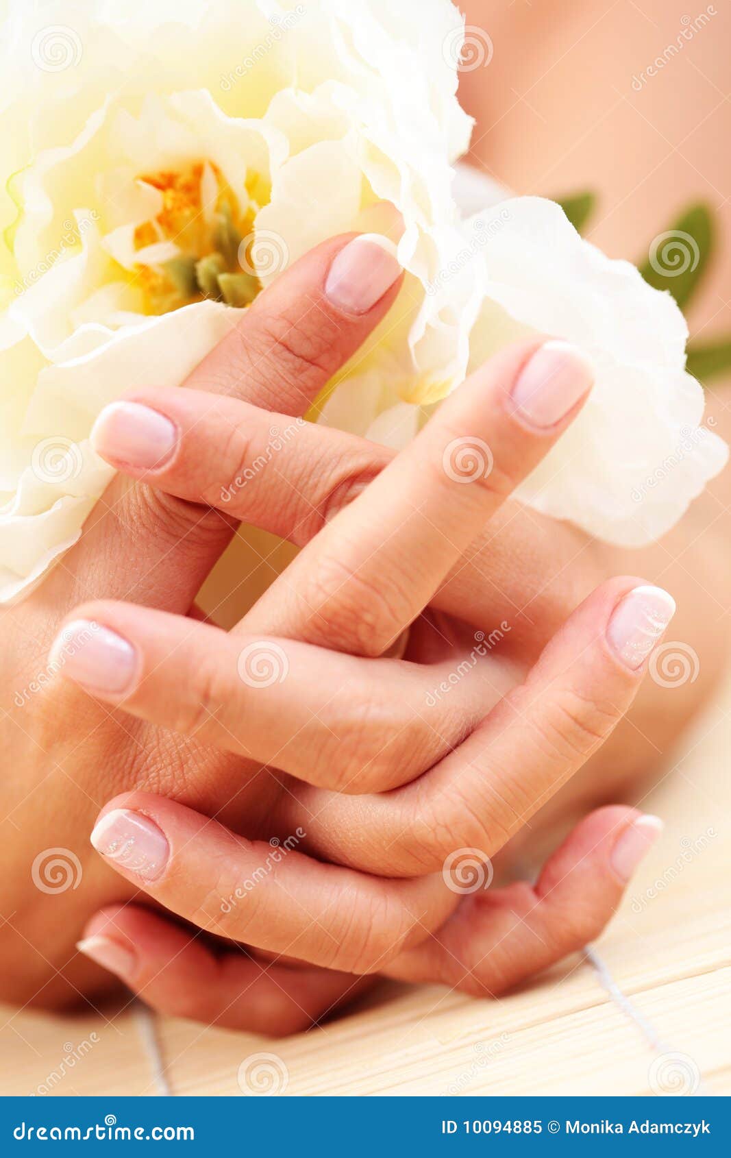 Beautiful female hands stock image. Image of beauty, hand - 10094885