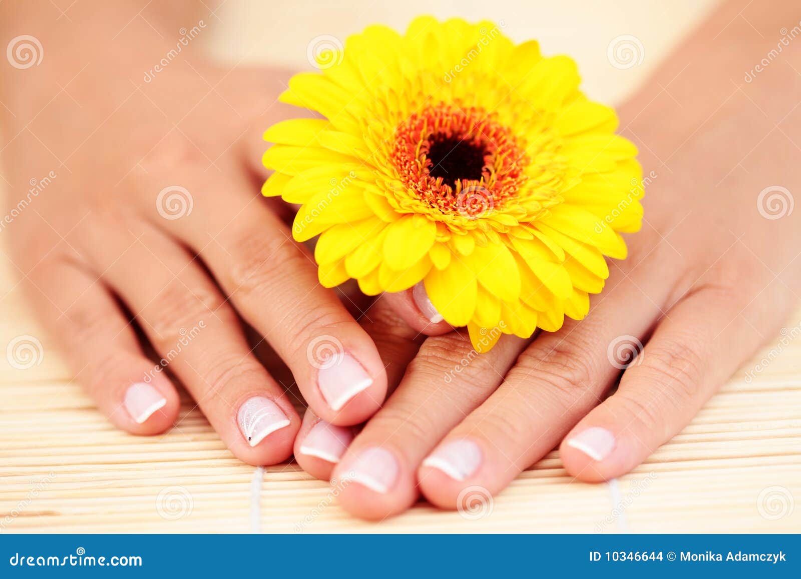 Beautiful female hands stock photo. Image of care, relax - 10346644