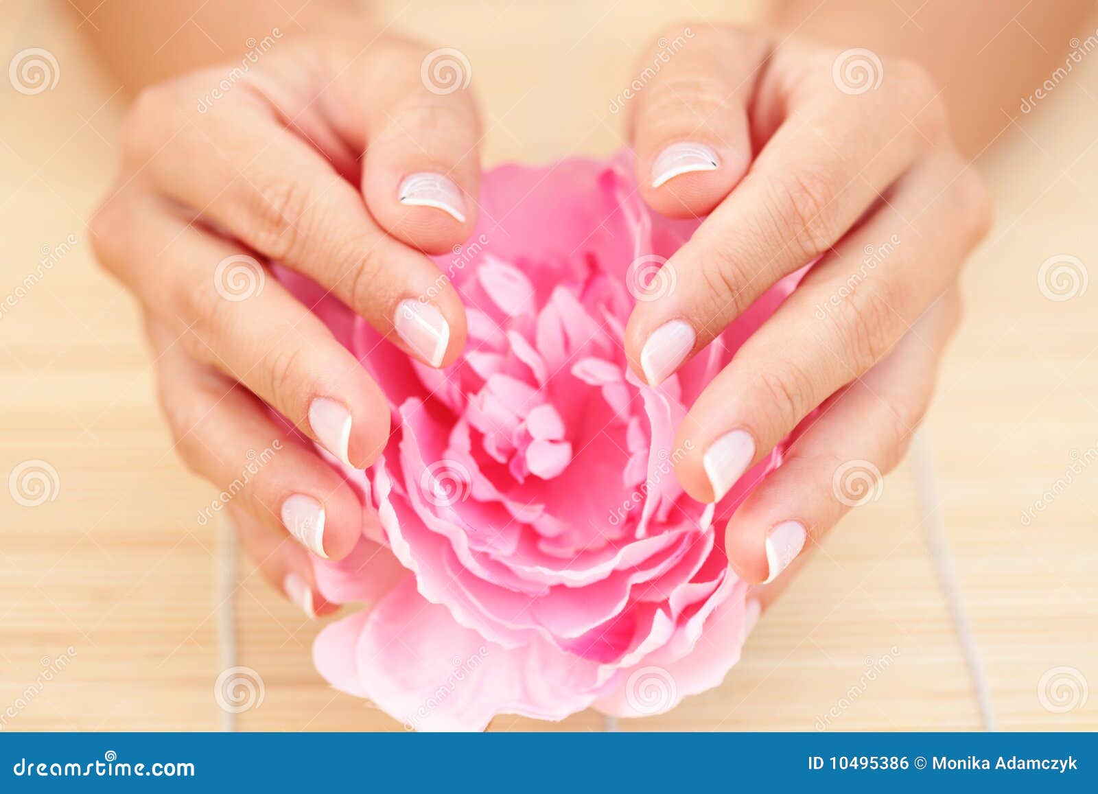 Beautiful female hands stock photo. Image of petal, wellness - 10495386