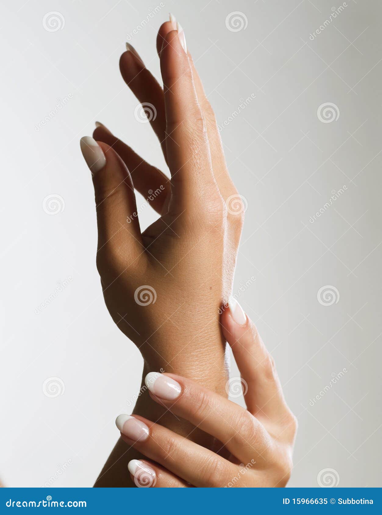 Beautiful Female Hands stock image. Image of bodycare - 15966635