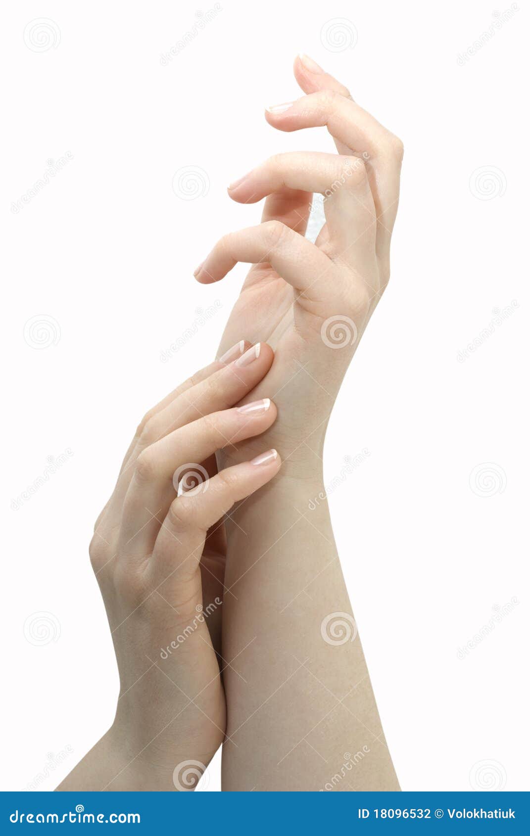 Beautiful female hands stock photo. Image of dermatology - 18096532