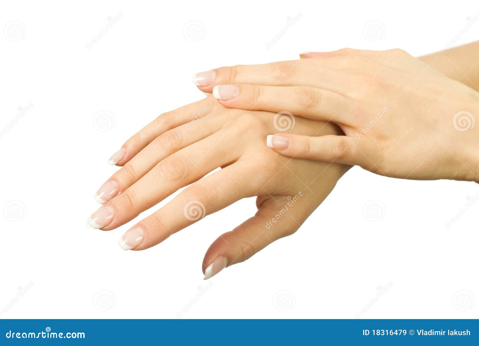 Beautiful female hands stock image. Image of fresh, fingers - 18316479