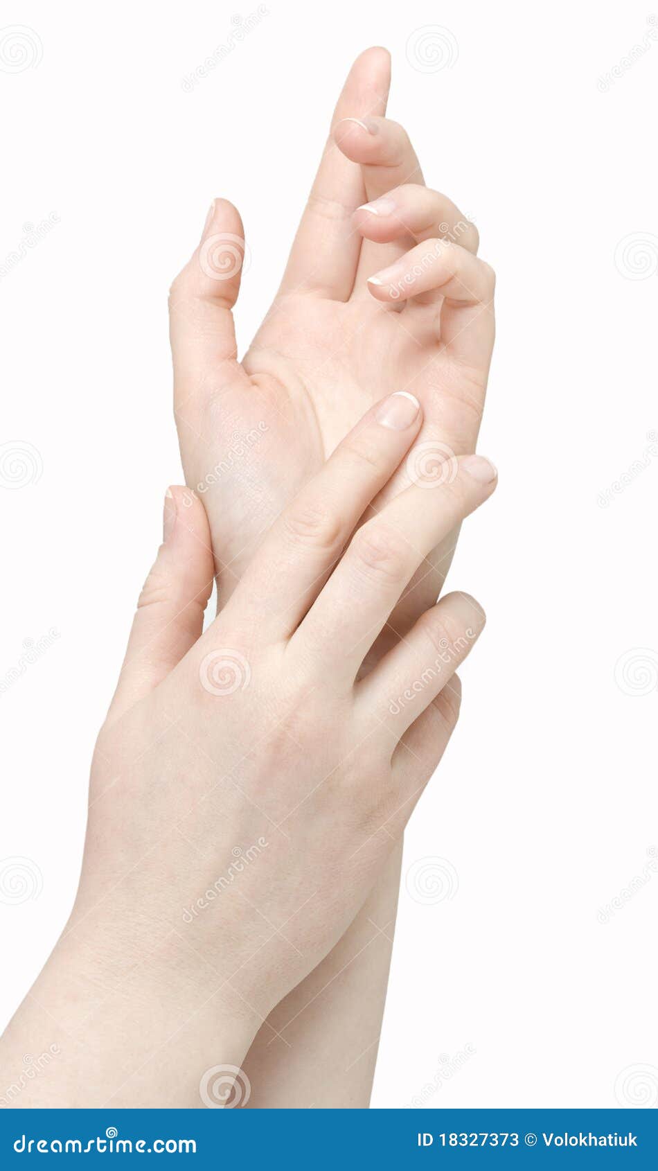 Beautiful female hands stock image. Image of beautiful - 18327373