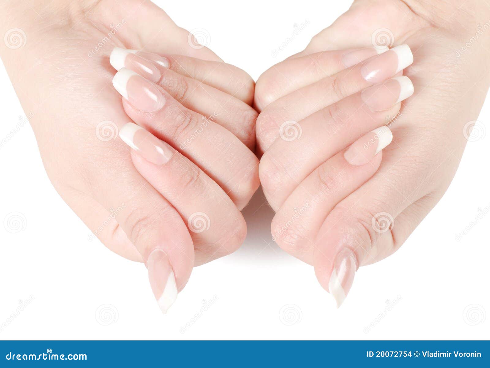 Beautiful female hands stock photo. Image of girl, human - 20072754