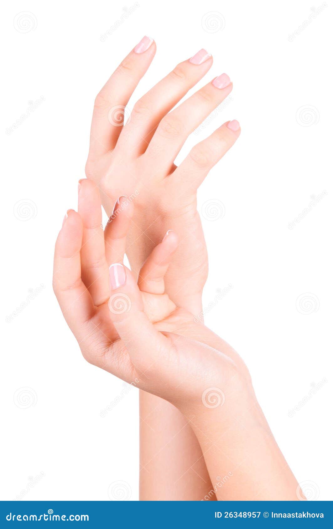 Beautiful Female Hands stock image. Image of healthy - 26348957